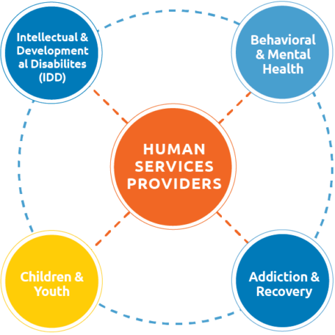 Business Intelligence for Human Services | The BI Collaborative